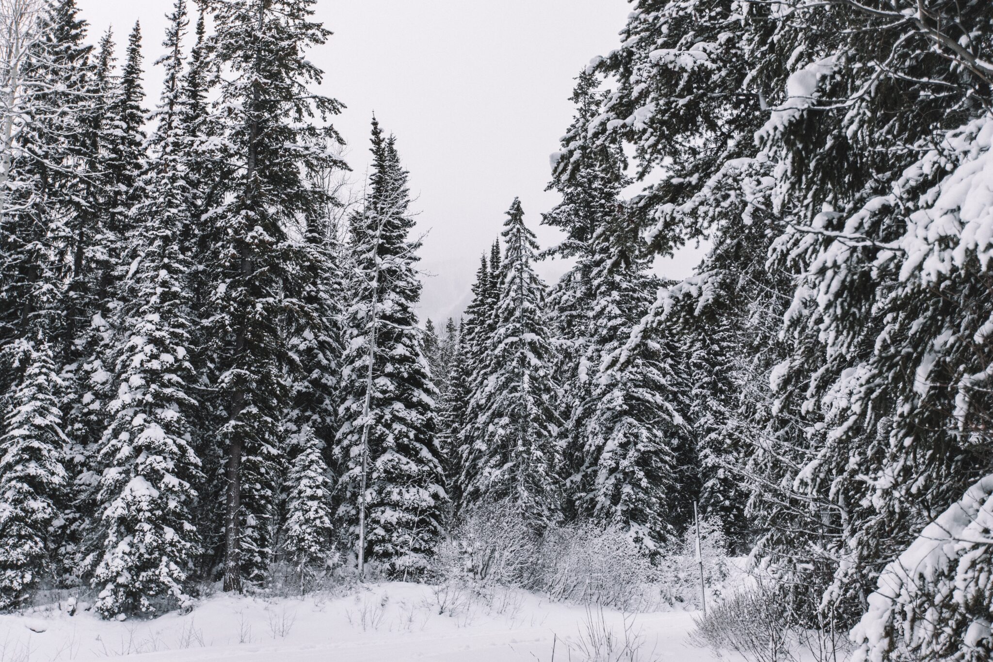 Fall/Winter Promo Fine Print - Prestige Hotels & Resorts