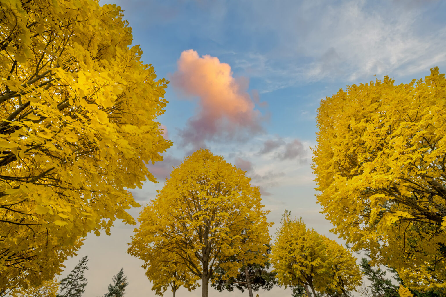 Prestige Mountain Resort Rossland - Prestige Hotels & Resorts